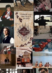 Esmeralda Soto on myCast - Fan Casting Your Favorite Stories