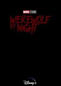 Alberto Ammann Fan Casting