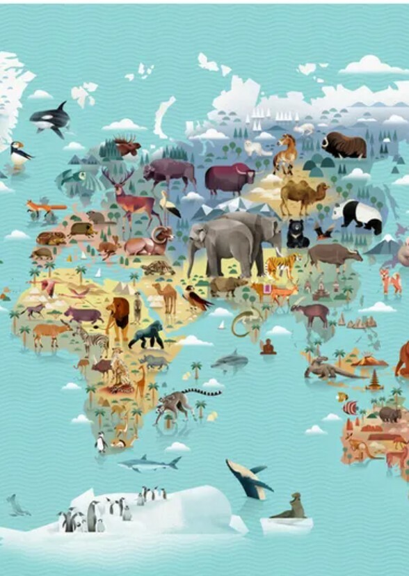 Meet the Animals (Tv Series) Fan Casting on myCast