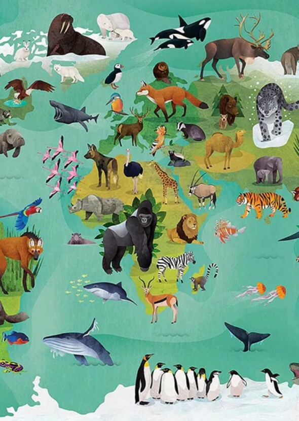 Meet the Animals Fan Casting on myCast