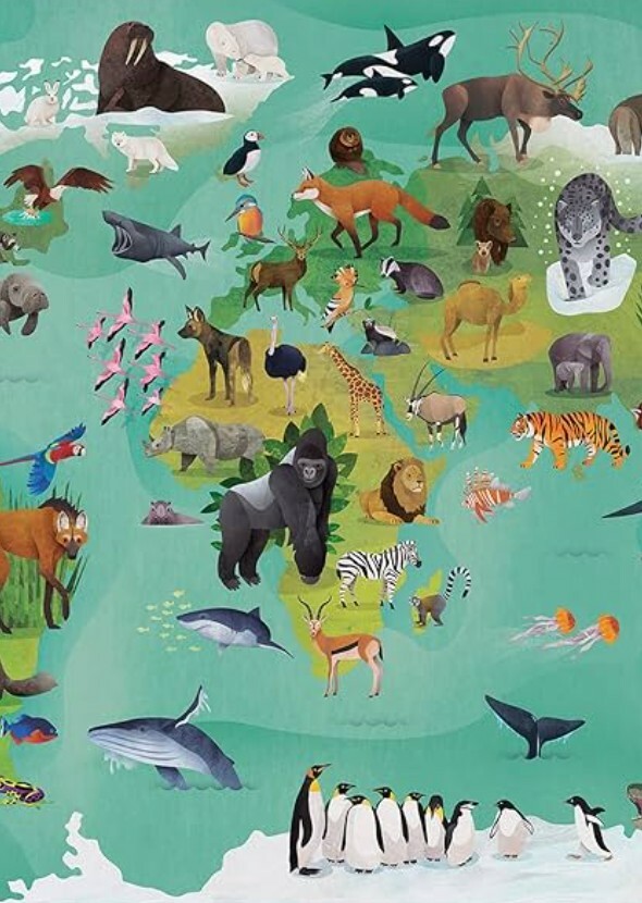 Mountain Gorilla Fan Casting for Meet the Animals | myCast - Fan Casting Your Favorite Stories