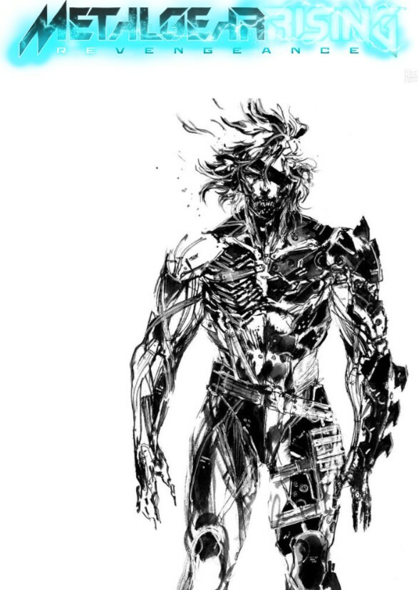 Metal Gear Rising: Revengance Fan Casting on myCast