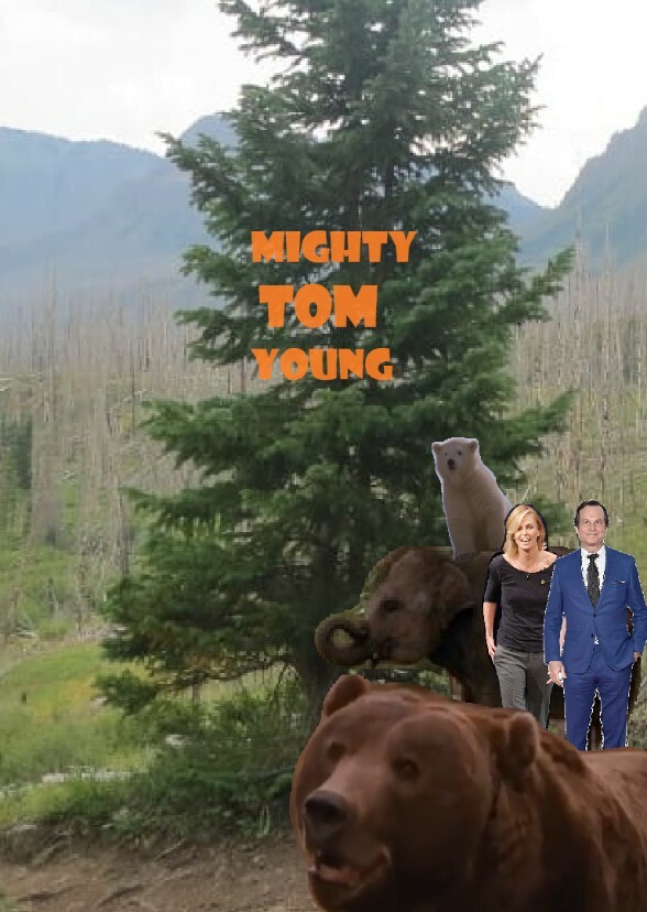 Find an Actor to Play Tom Young in Mighty Tom Young (2005) on myCast