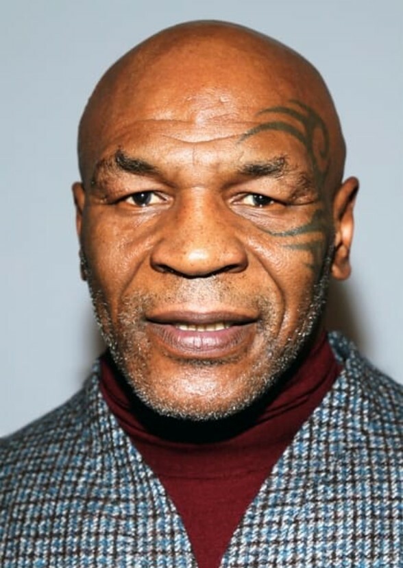 Fan Casting Kevin James as King Hippo in Mike Tyson's Punch Out on myCast