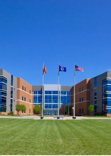 Toad Fan Casting for Nintendo and Disney + Pixar presents: The Super Mario Bros. Movie | myCast ...