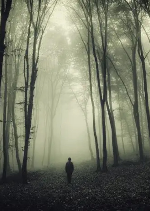 Mirage Forest Fan Casting on myCast