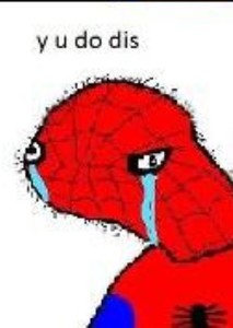 Y U Do Dis Spoderman