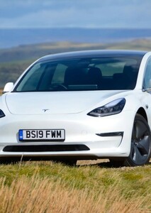 Finding Nemo (2027) Fan Casting on myCast