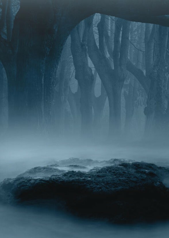 My own Multiverse Fan Casting on myCast