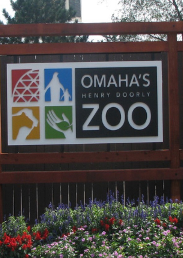 Find an Actor to Play Avyana in Mycast users and toons Goes To The ...