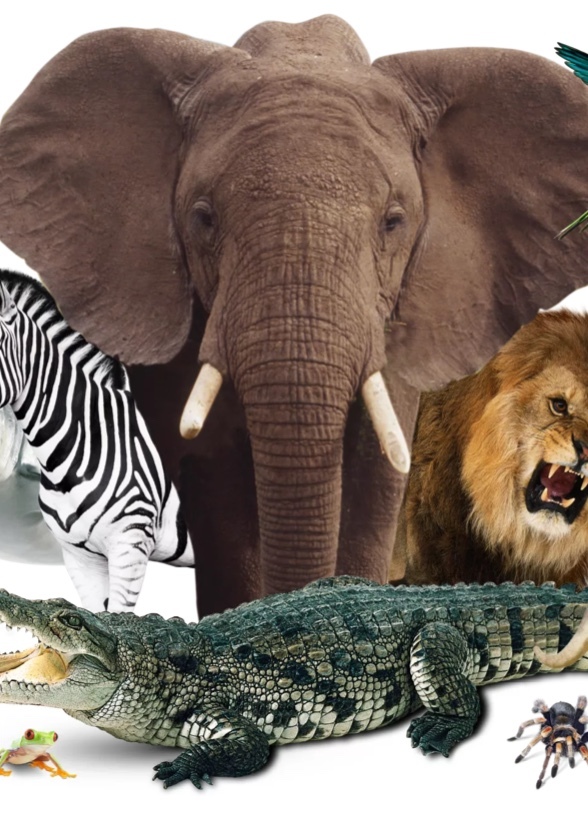 MyCast users as animals Fan Casting on myCast