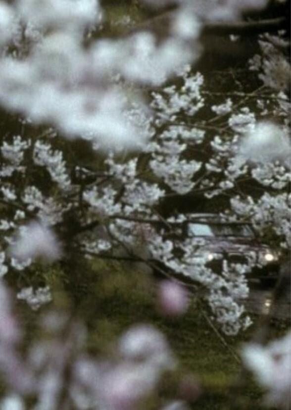 Rubi Fox Fan Casting for Mystic Academy the School For the Gifted ...