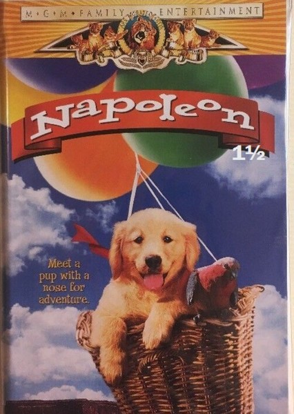 Patrick Star Fan Casting for Spongebob Squarepants (1960's) | myCast ...