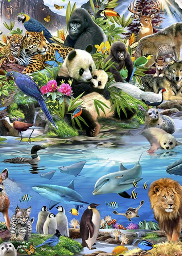 Nat Geo Wild's The Fascinating World of Animals Fan Casting on myCast