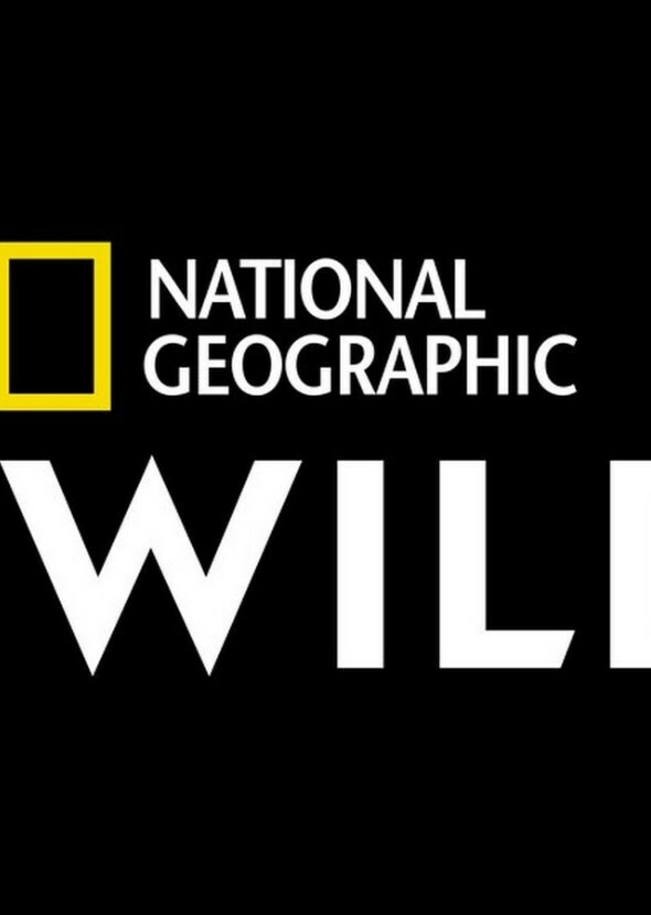 National Geographic's Wild Fan Casting on myCast