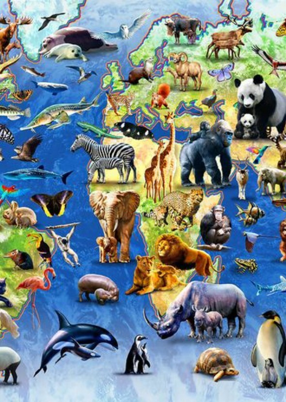 Asian Elephant Fan Casting for Natural World of Wild Animals. | myCast ...