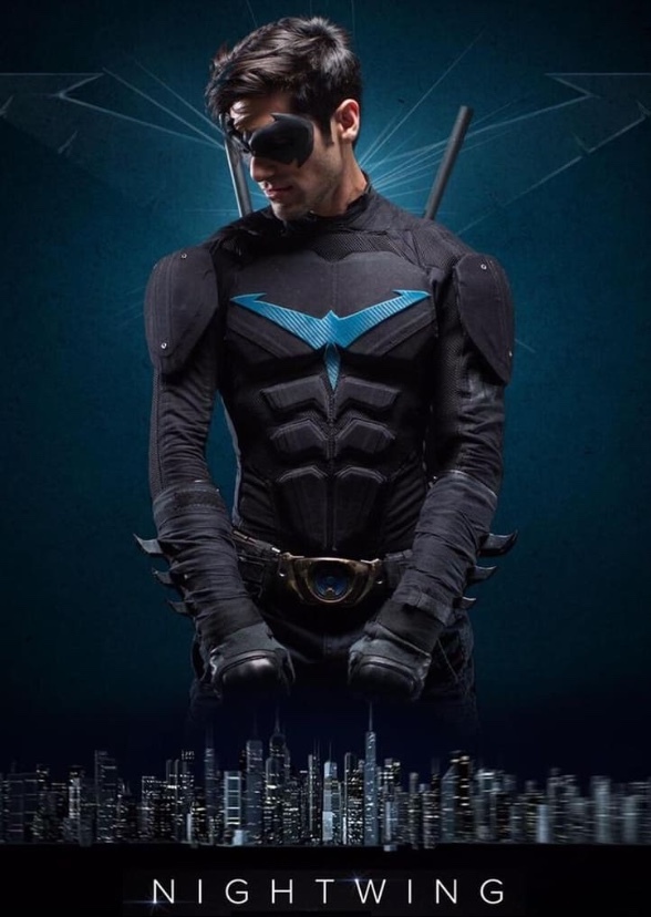 Nightwing Fan Casting on myCast