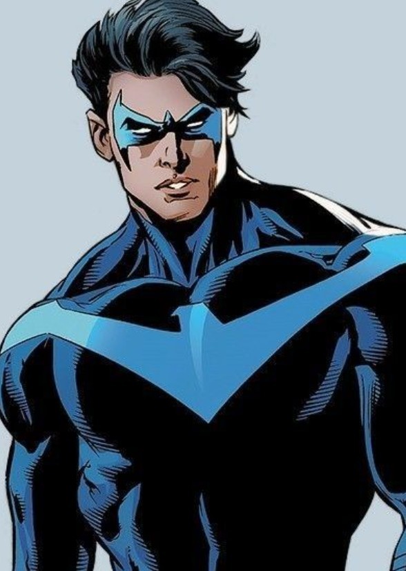 Nightwing Fan Casting on myCast