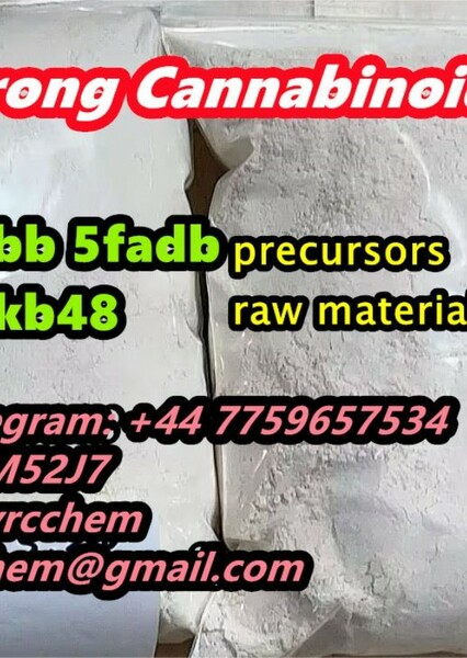 Coco Bandicoot Fan Casting for Crash bandicoot the movie | myCast - Fan ...