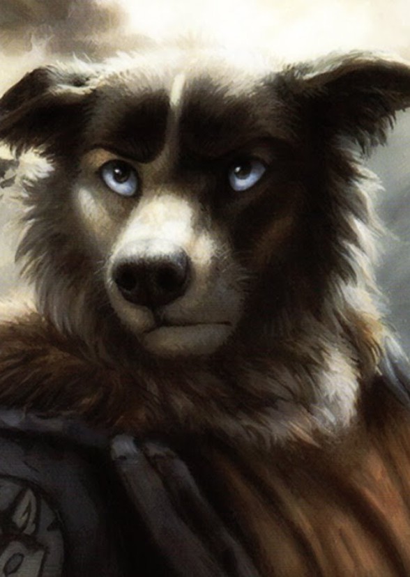 Nordguard Fan Casting on myCast