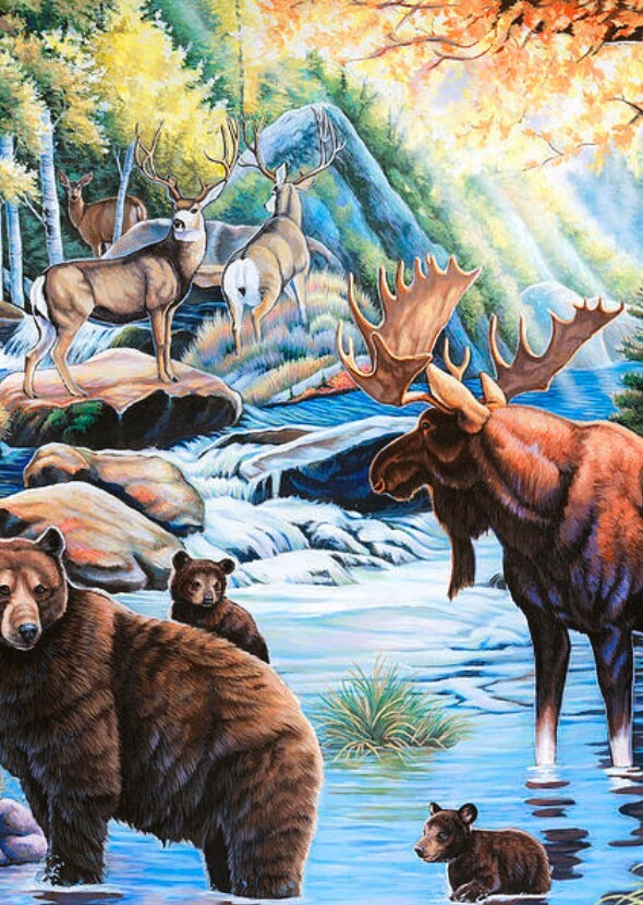 White Tailed Deer Fan Casting for North America Unveiled: Tales from the Continent | myCast ...