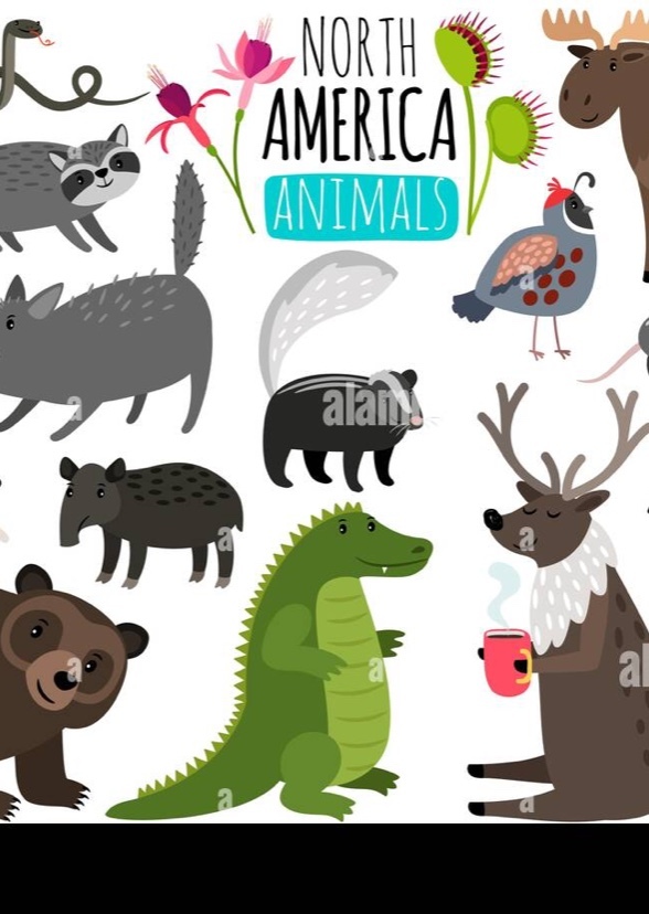North American animals (tv series) Fan Casting on myCast