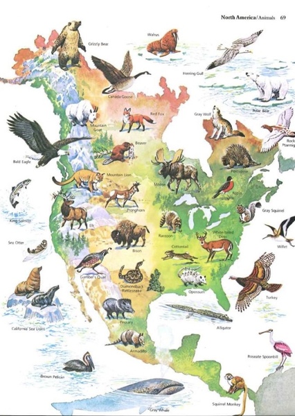 North American Animals Fan Casting on myCast