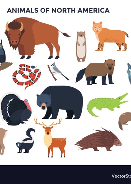 Rei on myCast - Fan Casting Your Favorite Stories