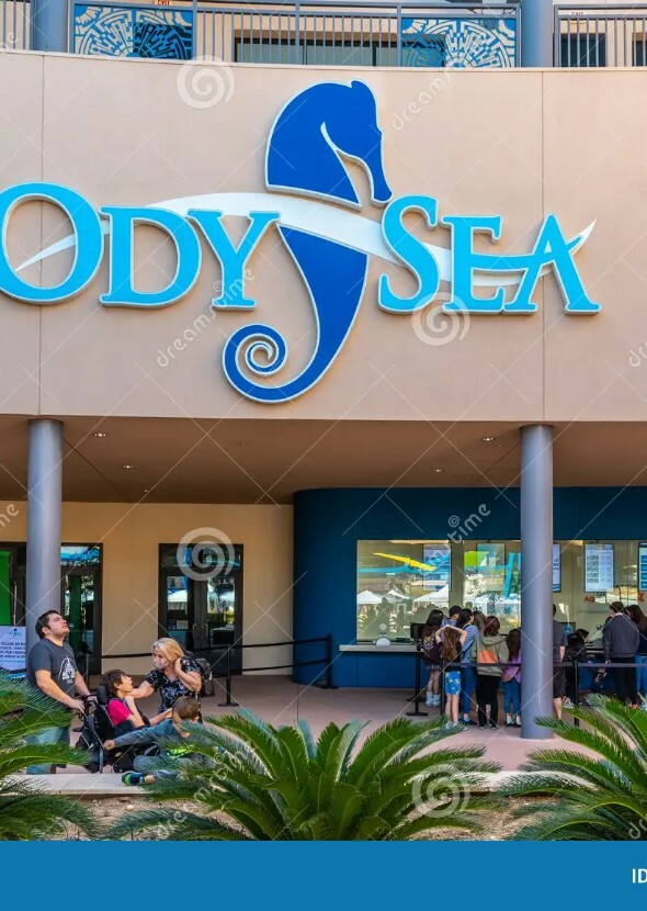 OdySea Aquarium the series Fan Casting on myCast