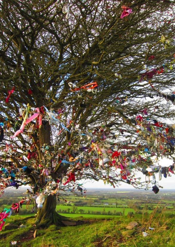 Henry Fan Casting for Olivia and the Wishing Tree (Children's Series ...