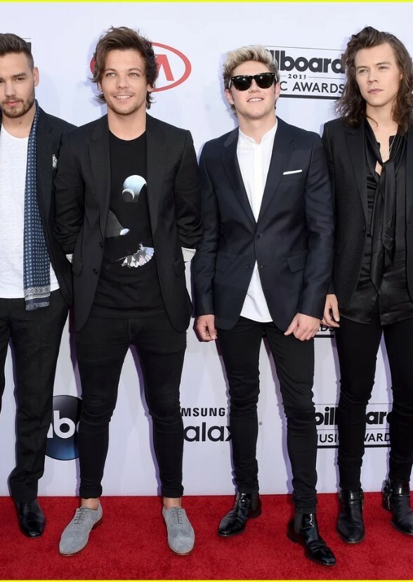 One Direction Concert (Beyblade Burst Version) Fan Casting on myCast