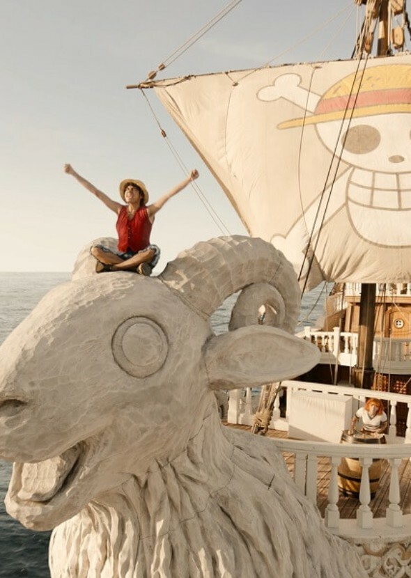 One Piece Fan Casting on myCast