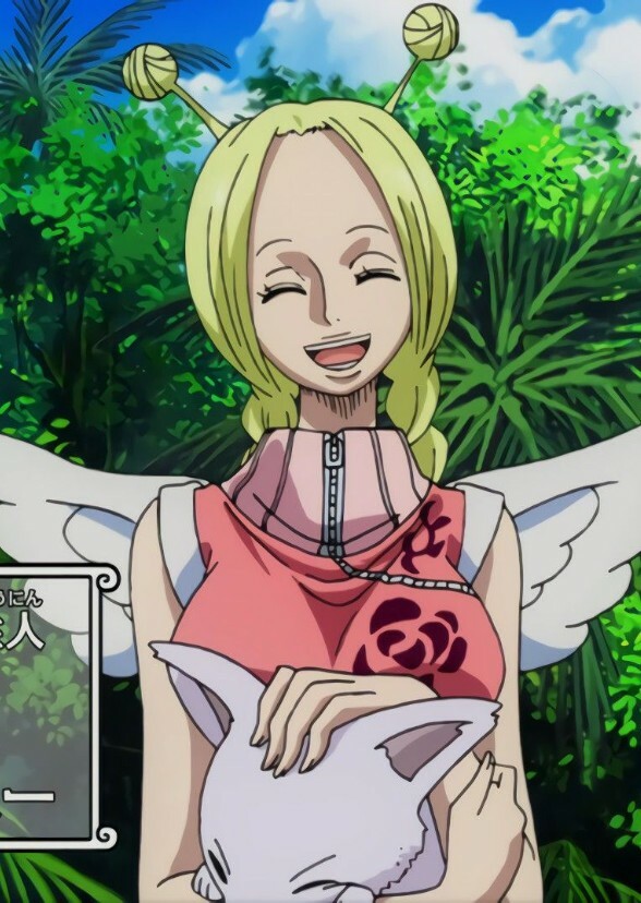 One Piece Conis ONE PIECE Don't Mess With CONIS YouTube