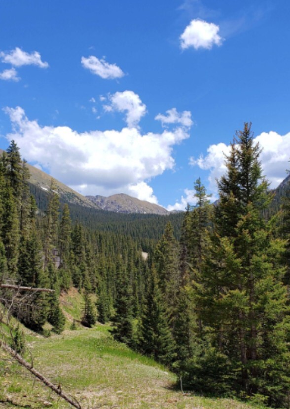 Oneida :Quest Of The Wolf Fan Casting on myCast