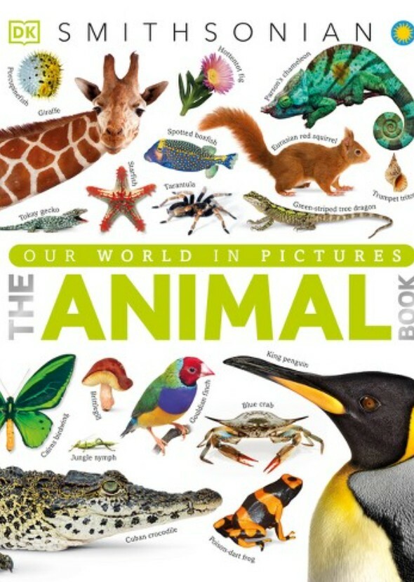 Our World in Pictures (PBS Nature Series) Fan Casting on myCast