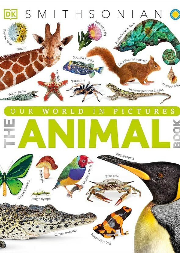 Our World in Pictures the Animal Fan Casting on myCast