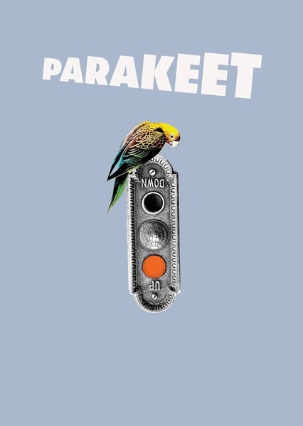 Parakeet Fan Casting on myCast
