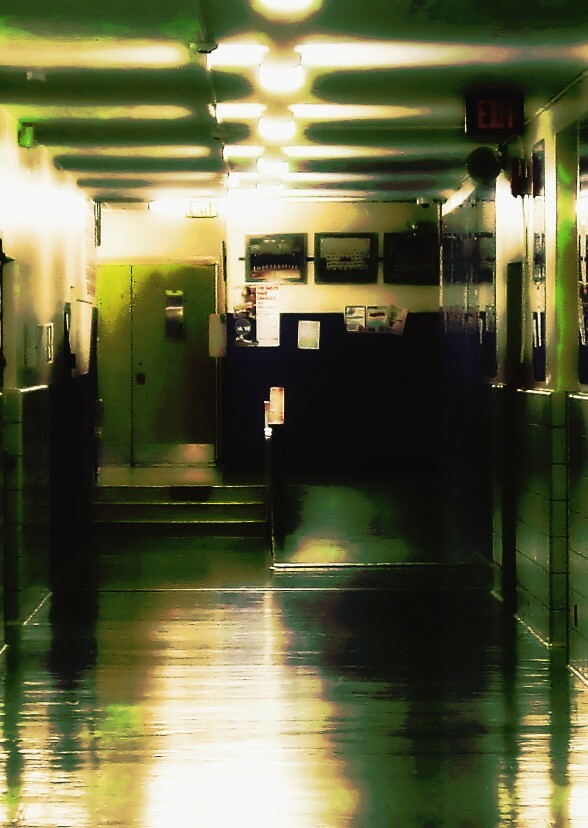 Perla (2025) Fan Casting on myCast