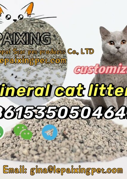 Best Daffy Duck Cartoon Fan Casting for Best & Worst of Looney Tunes | myCast - Fan Casting Your ...