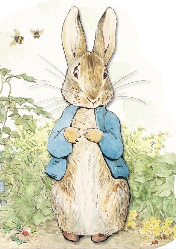 Peter Rabbit but with Sonic characters Fan Casting on myCast