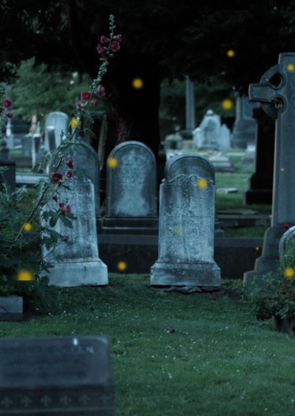 Eltony Williams on myCast - Fan Casting Your Favorite Stories