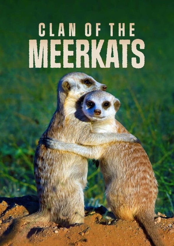 PRISCHA Fan Casting on myCast