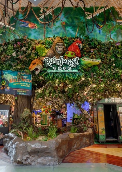 Rainforest Cafe the Game Fan Casting on myCast
