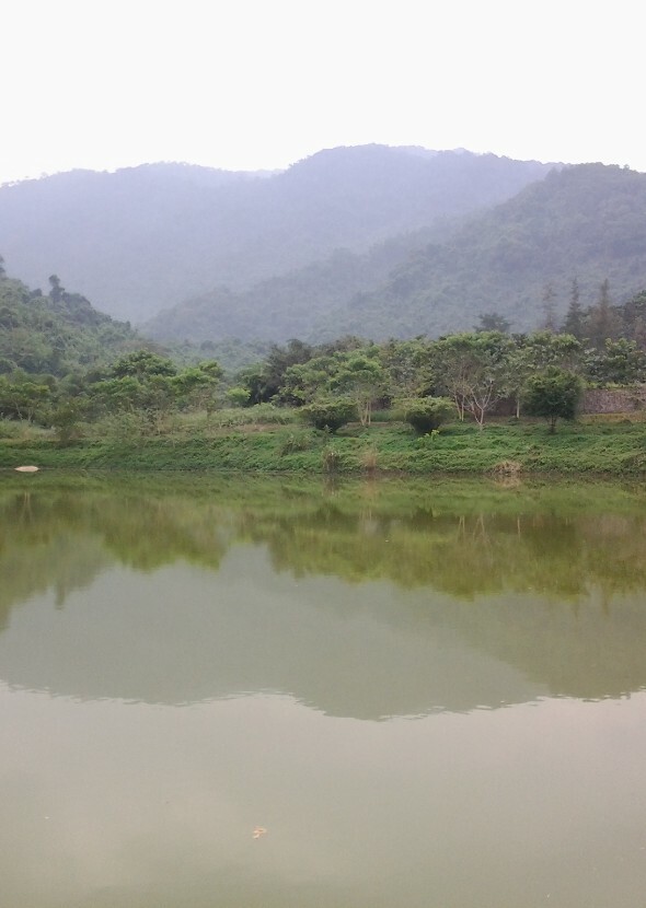 Reed Fan Casting on myCast