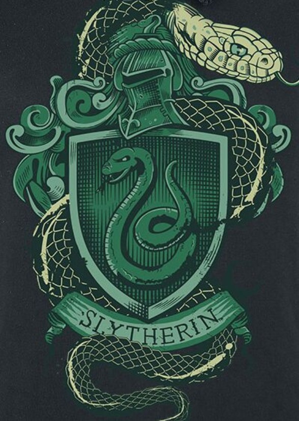 Riddle Fan Casting on myCast