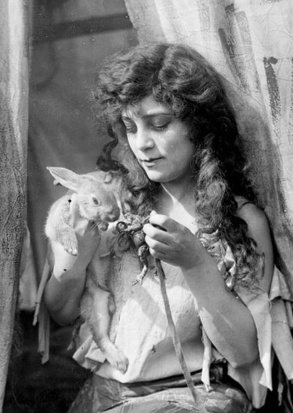 Rising Notes: The Beatriz Michelena Story Fan Casting on myCast