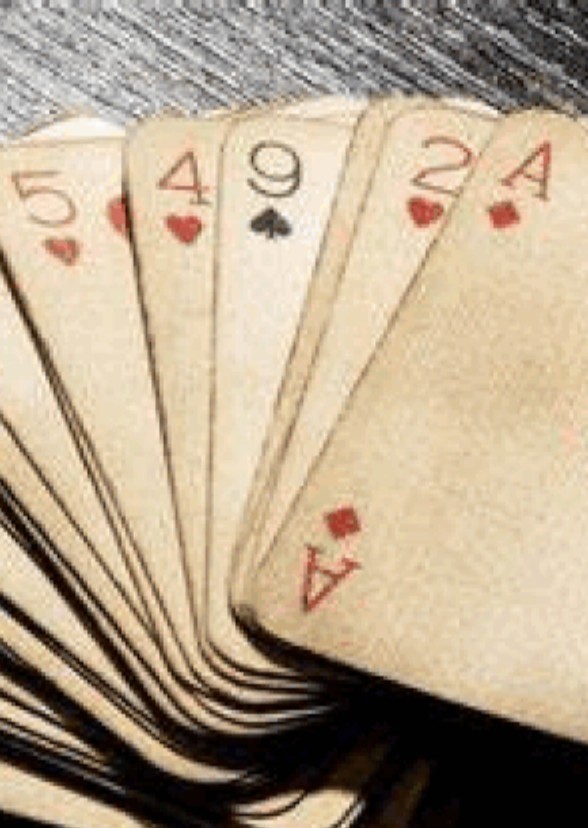 Risk Taker Fan Casting on myCast