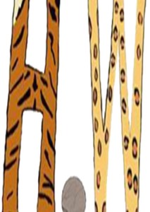 Shalimar Fox (from Mutant X) on myCast - Fan Casting Your Favorite Stories