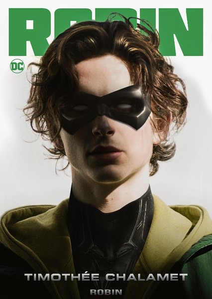 Robin Season 2 (2015) Fan Casting on myCast