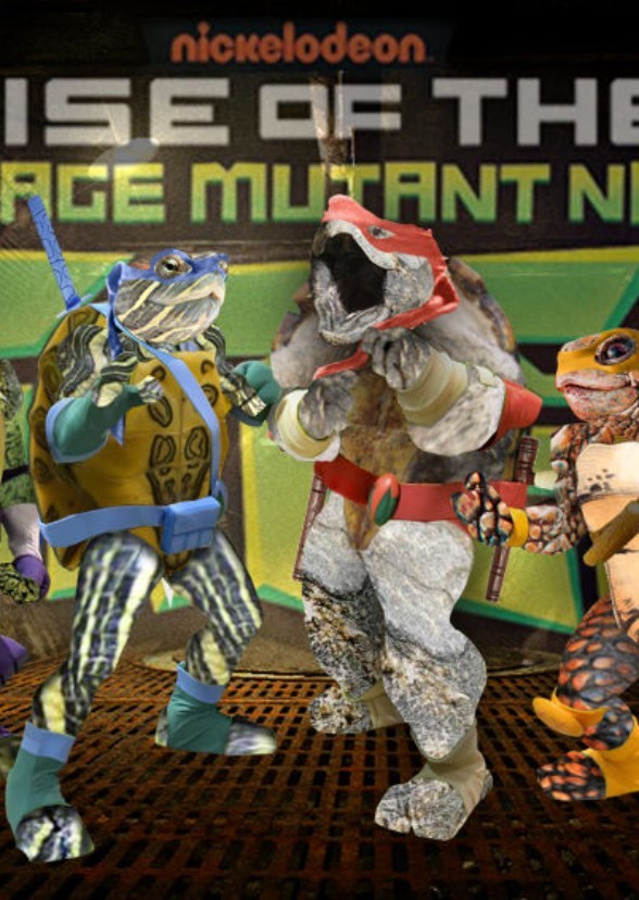 Fan Casting Tom Holland as Michelangelo Hamato in ROTTMNT LIVE ACTION ...